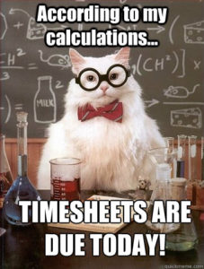 Top Timesheet Memes to Meet The Payroll Deadline - Everhour