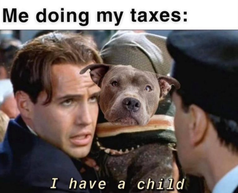 Top Tax And Accounting Memes For 2024 Laugh Through Tax Season